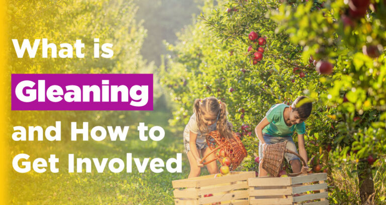 How Gleaning Fights Hunger - One Initiative